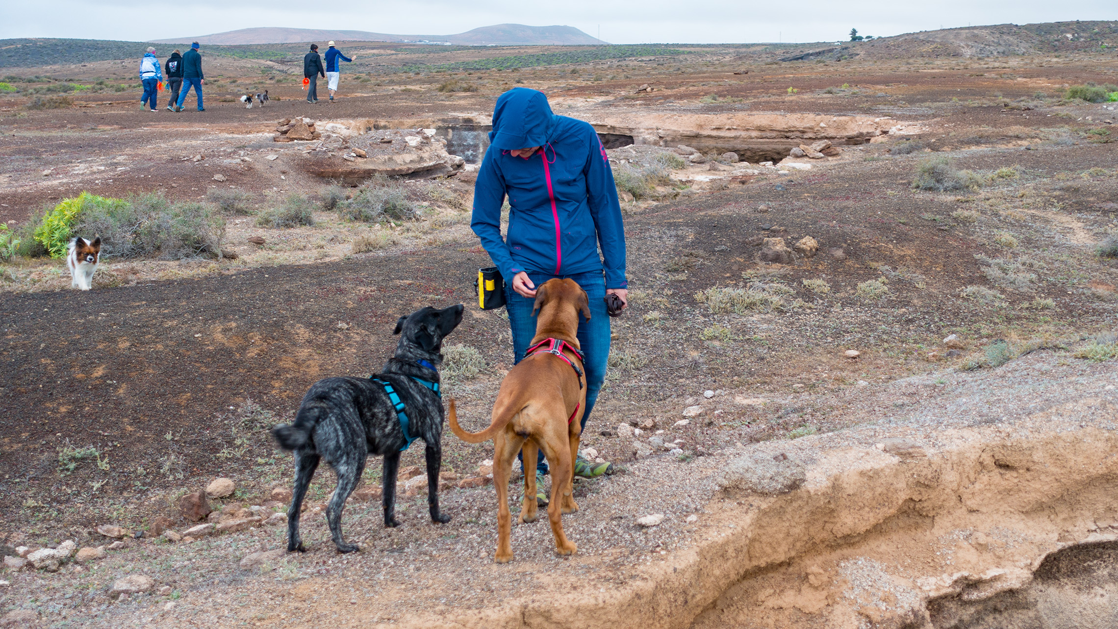 Den Social Walk mit Bravour bestanden – Zara Verzaubert